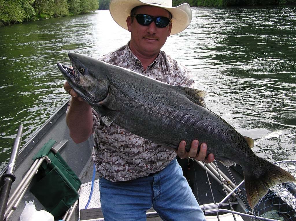 Salmon and Steelhead Image Gallery | A Helfrich Outfitter
