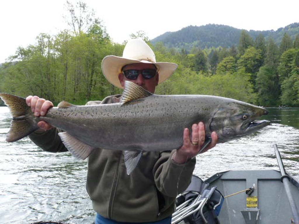 Salmon and Steelhead Image Gallery | A Helfrich Outfitter